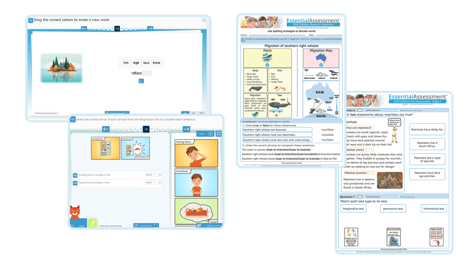 NSW Syllabus | Essential Assessment