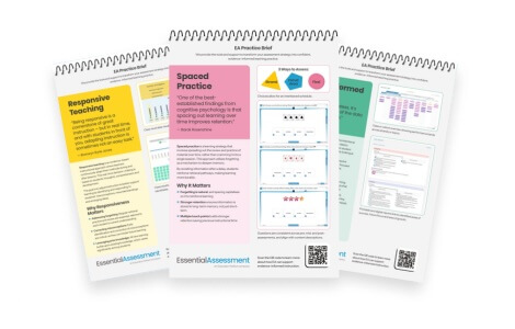 Praactice Briefs for Teachers